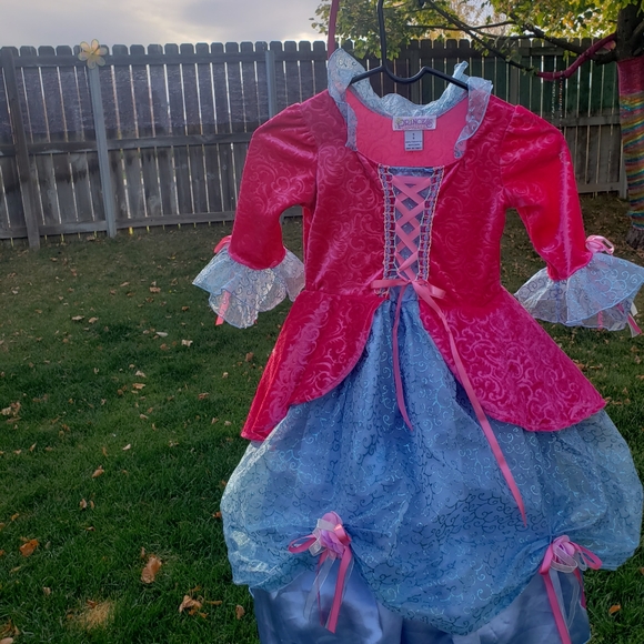 Princess Paradise | Costumes | Princess Paradise Pink Blue Princess ...